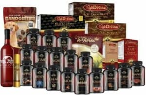 Is Vida Divina a Scam? Analyzing the Effectiveness of This Health MLM ...